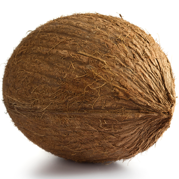 United States' Largest Coconut Grower – US Coconuts